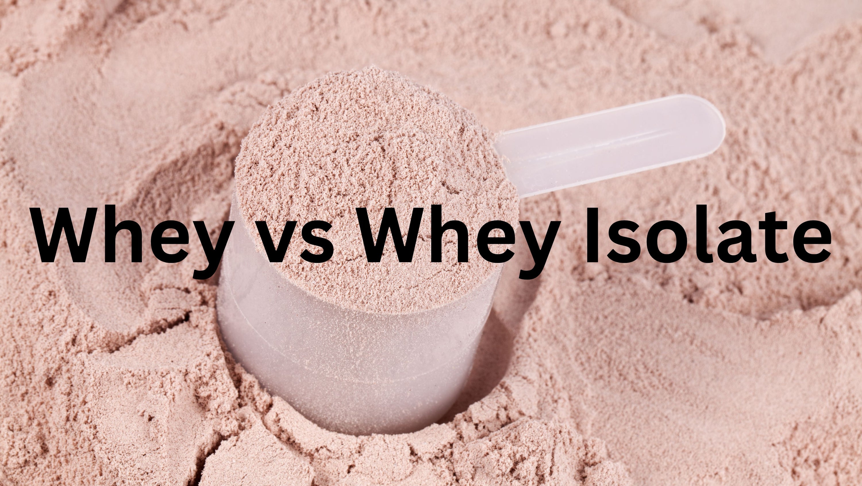 Whey vs Whey Isolate: Your Guide When Picking Protein – Egghead Nutrition